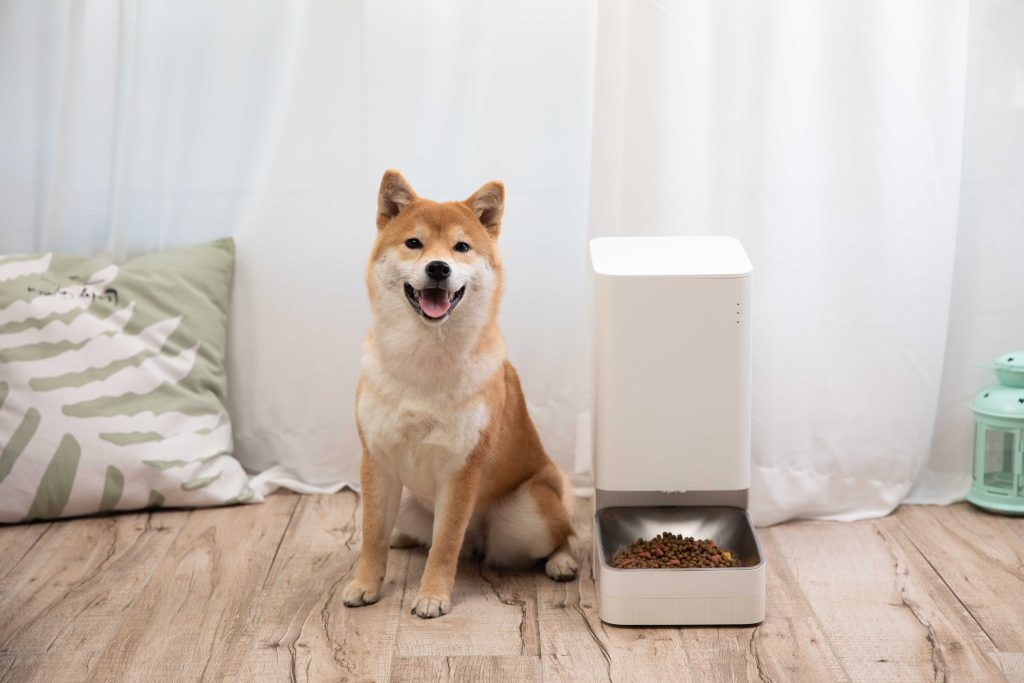 Mime o seu pet: o Xiaomi Smart Pet Food Feeder e a Xiaomi Smart Pet ...